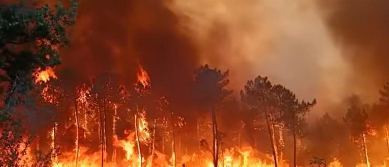 Στις φλόγες μεγάλες εκτάσεις σε Γαλλία και Ισπανία | Ημεροδρόμος