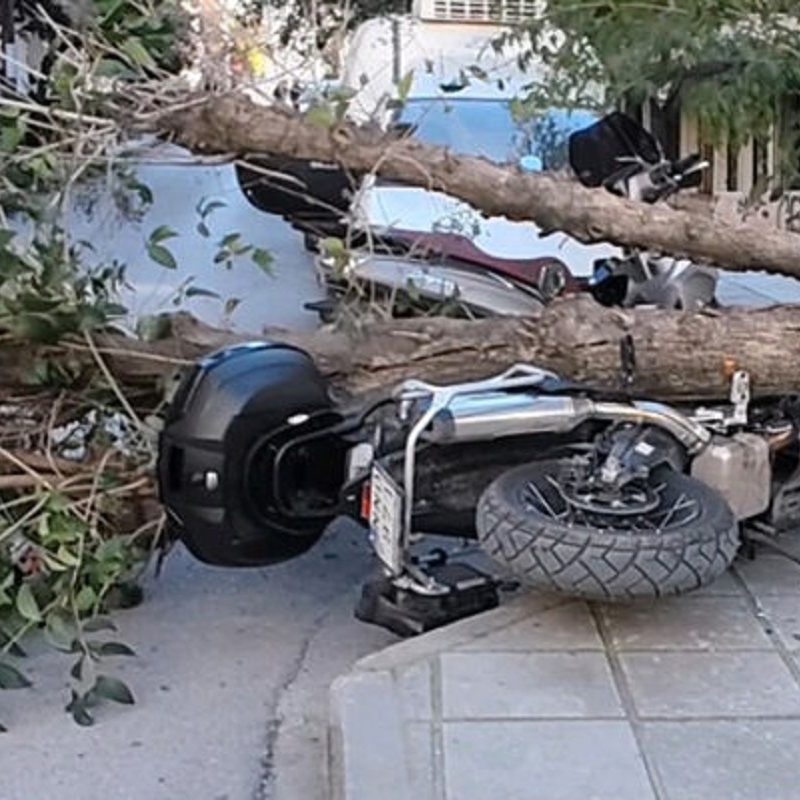 Ετών 15... | Ημεροδρόμος