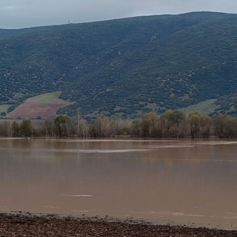 «Ο Μότσαρτ και ο Διαφωτισμός» | Ημεροδρόμος